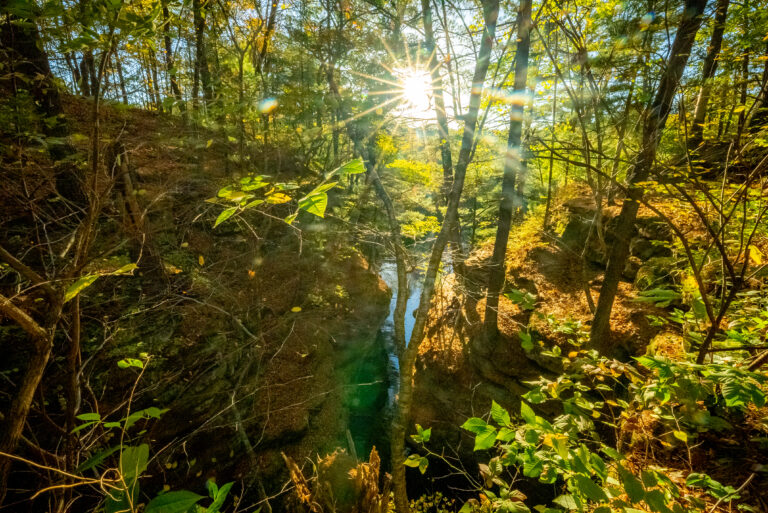 Fox Hill RV Resort & Campground - Affordable Cabins, Tent, RV Sites